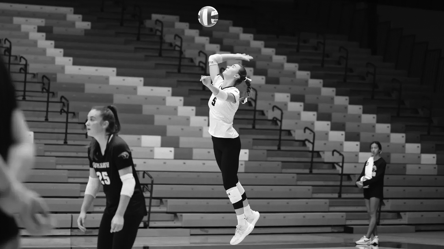Titans sweep Elmhurst College - The Advance-Titan